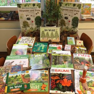 Wald Lapbook im Sachunterricht | Materialwiese